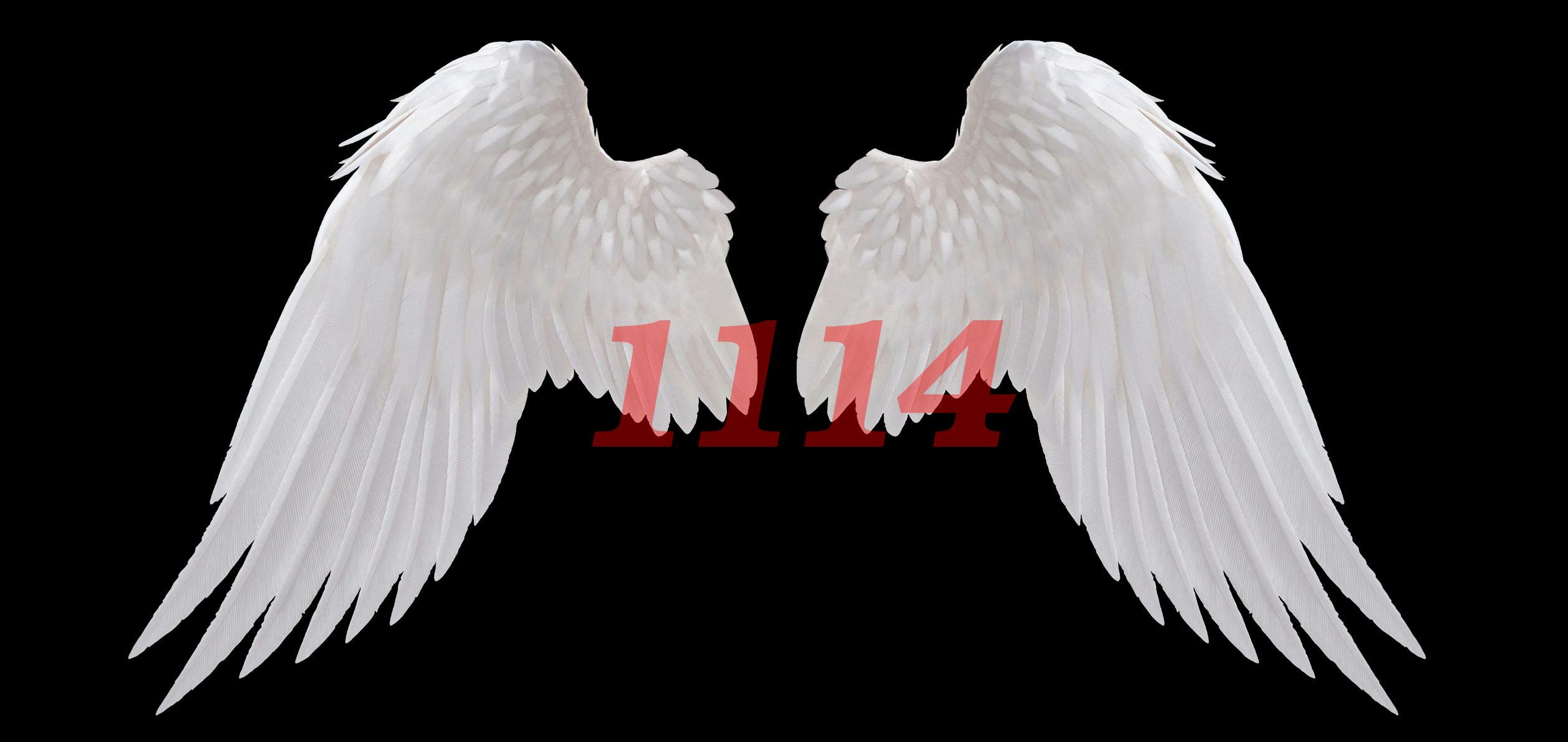 Why Do I Keep Seeing The Angel Number 1114? - TheReadingTub